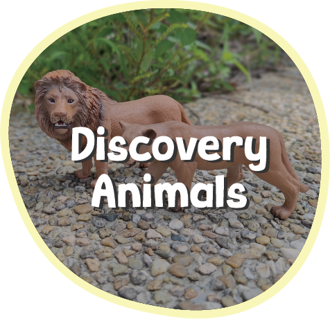 Discovery Animals – Play Wonders
