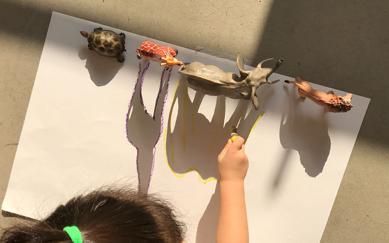 Discovery Animals – Play Wonders