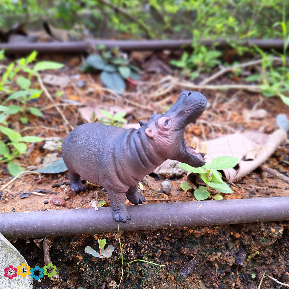 Discovery Animals - Hippopotamus – Play Wonders
