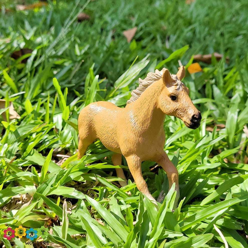 Discovery Animals - Horse Male – Play Wonders