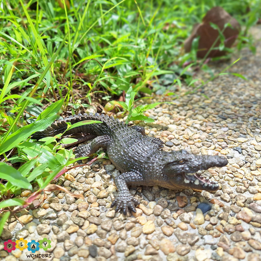 Discovery Animals - Crocodile (Fixed Mouth) – Play Wonders